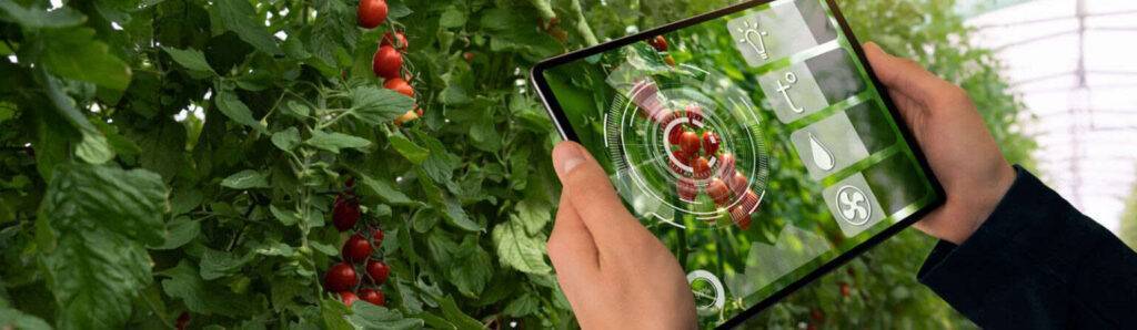 AgriTech et FoodTech - CapiWell